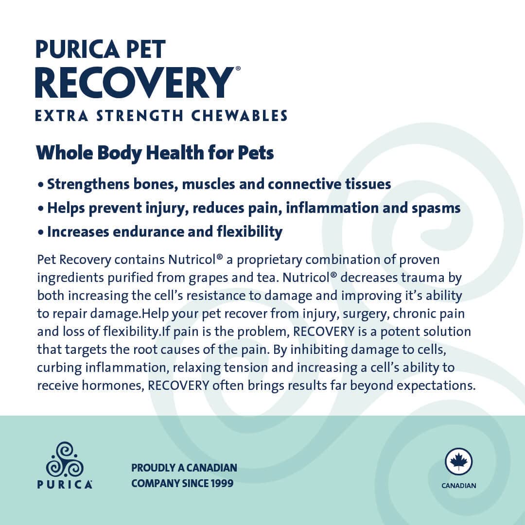 PURICA - Pet Recovery Extra Strength - Dog Supplement - Glucosamine Chews for Large & Small Breed Dogs - Hip & Joint Support - 360 Count (Pack of 1)