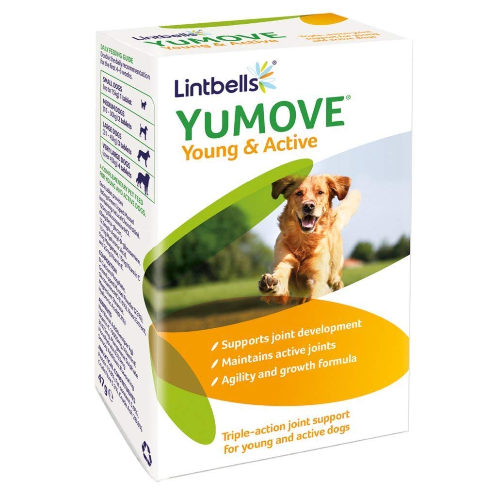 Dog Joint Supplement for Senior Dogs, Hip and Joint Supplement for Dogs with Glucosamine, Hyaluronic Acid, and Green Lipped Mussel and Omegas, by YuMOVE - 120 Chewable Tablets