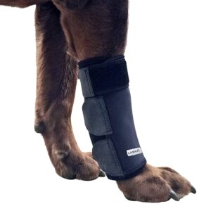 labra dog canine front leg compression brace wrap sleeve, protects wounds, braces, heals, and prevents injuries and sprains, helps with loss of stability caused by arthritis - large/extra large