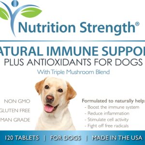 Nutrition Strength Immune Support for Dogs Plus Antioxidant, Reishi, Shiitake, Maitake, Turkey Tail Mushrooms for Dogs, with Coenzyme Q10, Nutritional Support for Dogs, 120 Chewable Tablets