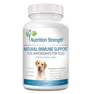 nutrition strength immune support for dogs plus antioxidant, reishi, shiitake, maitake, turkey tail mushrooms for dogs, with coenzyme q10, nutritional support for dogs, 120 chewable tablets