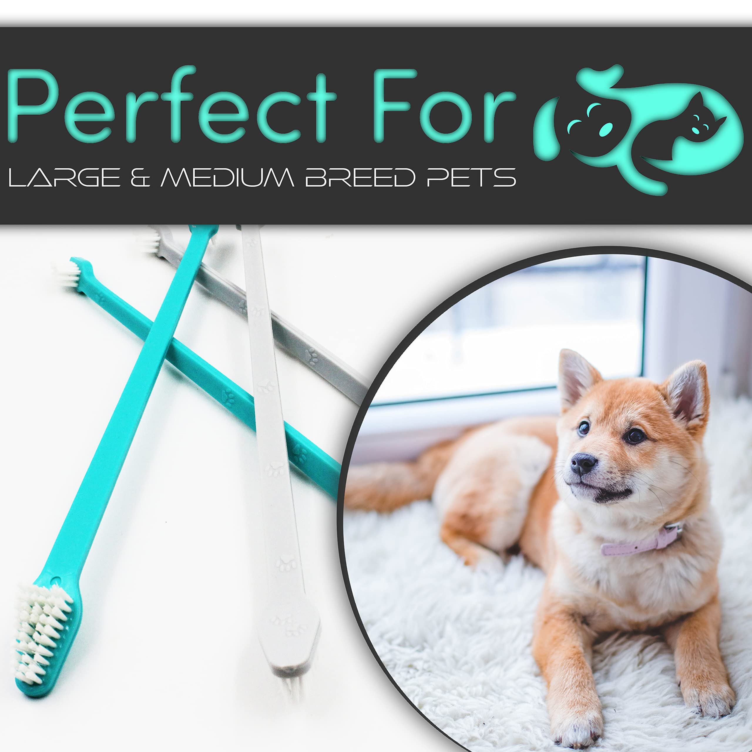 H&H Pets Dog Toothbrush Dual Headed Design Dental Toothbrushes for Small & Large Dogs, 4 or 8 Counts Pack