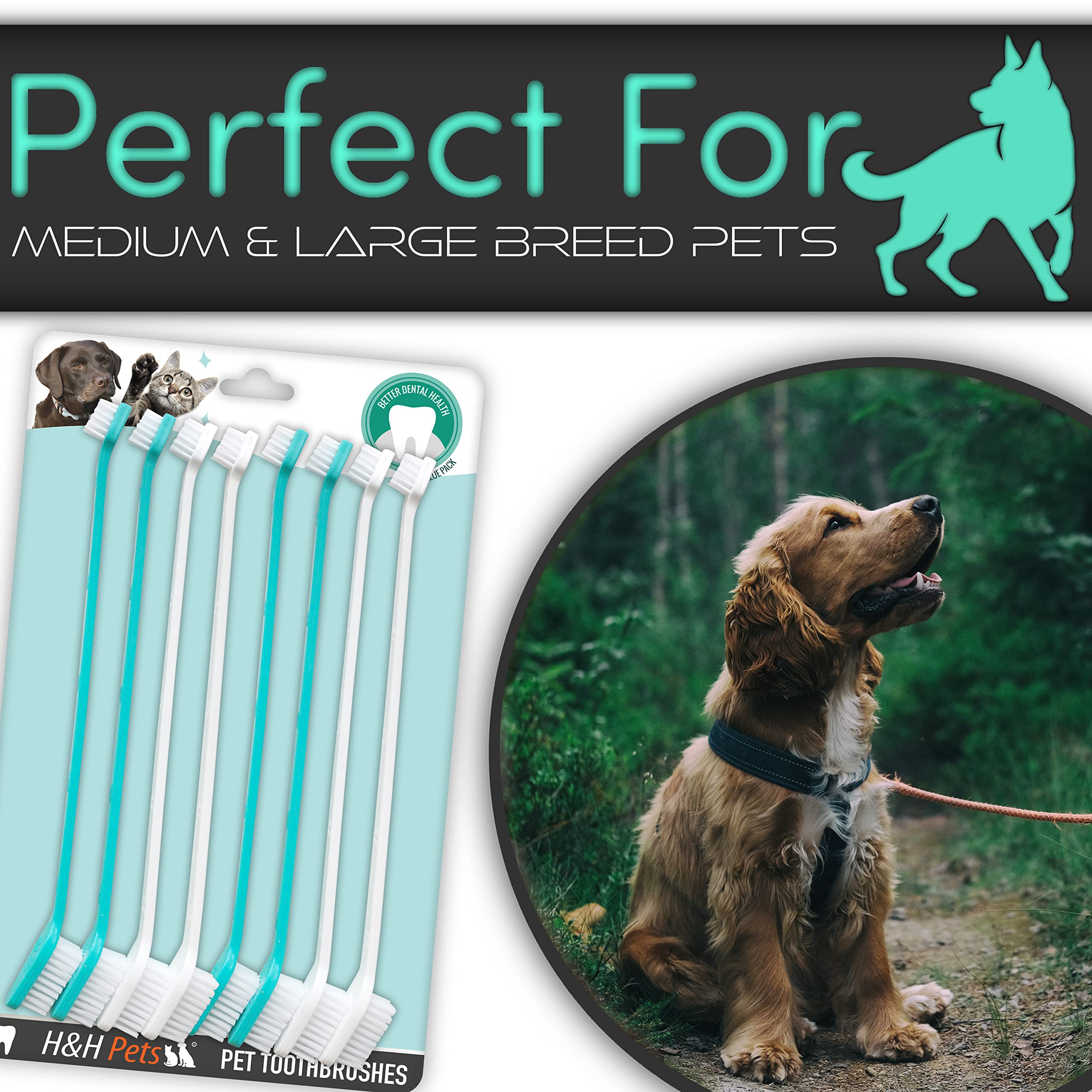 H&H Pets Dog Toothbrush Dual Headed Design Dental Toothbrushes for Small & Large Dogs, 4 or 8 Counts Pack