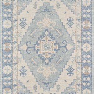 Momeni Anatolia Wool and Nylon Area Rug, 3'3" X 5', Blue