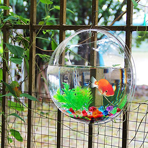 11.6 Inch 4.68L Acrylic Fish Bowl Wall Hanging Aquarium Tank Aquatic Pet Supplies Pet Products Wall Mount Fish Tank (Transparent)