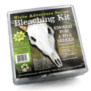 wiebe skull bleaching kit