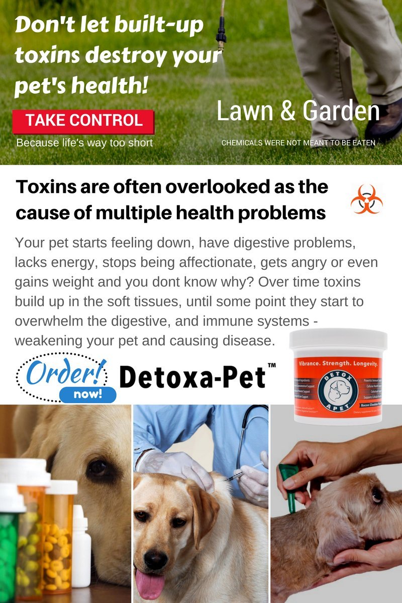 DETOXA-PET Powder, Powerful Nutritional Supplement for Pets, Works Wonders! Dog & Cat Detox, Liver Detox for Dogs, Cats,10 Bill CFU Probiotics, Enzymes, Herbs, Vitamins, Minerals, Immediate Benefits!