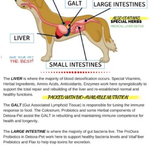 DETOXA-PET Powder, Powerful Nutritional Supplement for Pets, Works Wonders! Dog & Cat Detox, Liver Detox for Dogs, Cats,10 Bill CFU Probiotics, Enzymes, Herbs, Vitamins, Minerals, Immediate Benefits!