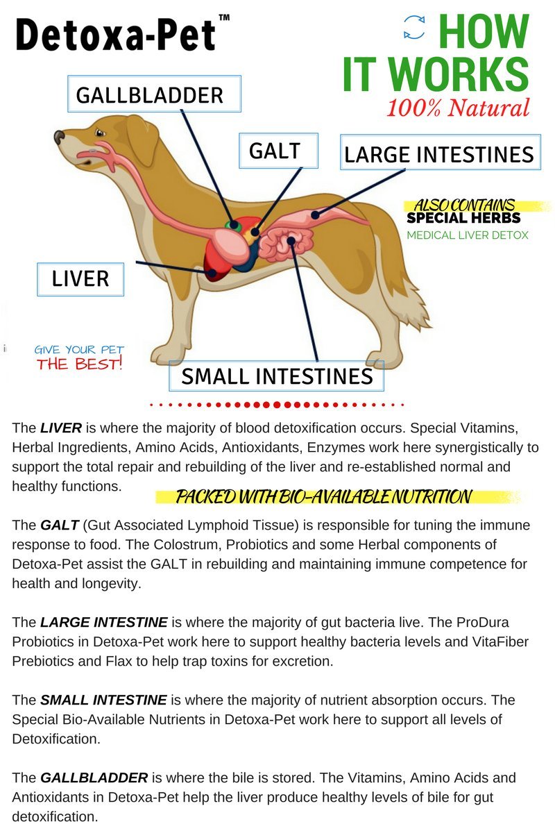 DETOXA-PET Powder, Powerful Nutritional Supplement for Pets, Works Wonders! Dog & Cat Detox, Liver Detox for Dogs, Cats,10 Bill CFU Probiotics, Enzymes, Herbs, Vitamins, Minerals, Immediate Benefits!