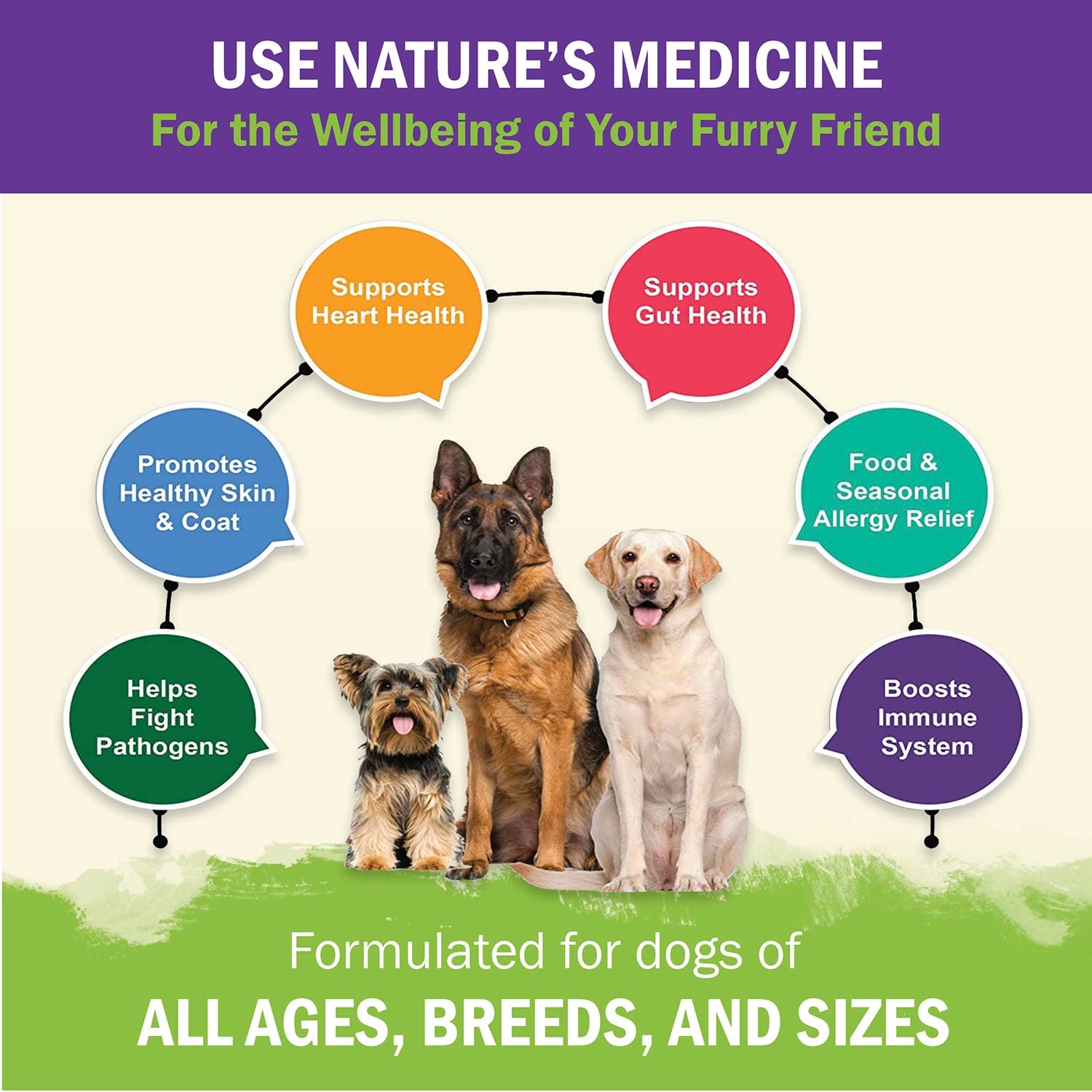 ZENAPET Allergy Immune Support Supplement for Dogs, Superfood 100% Human-Grade with Turkey Tail Mushroom, Prebiotics for Gut Health, Itchy Skin, Seasonal Allergies & Yeast - for Small to Large Breeds