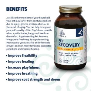 Purica Recovery Extra Strength Dog Supplement - Supports Hip and Joint Health for All Breeds - Contains Nutricol, Hyaluronic Acid, EGCG, Resveratrol - Aims to Enhance Canine Endurance and Flexibility