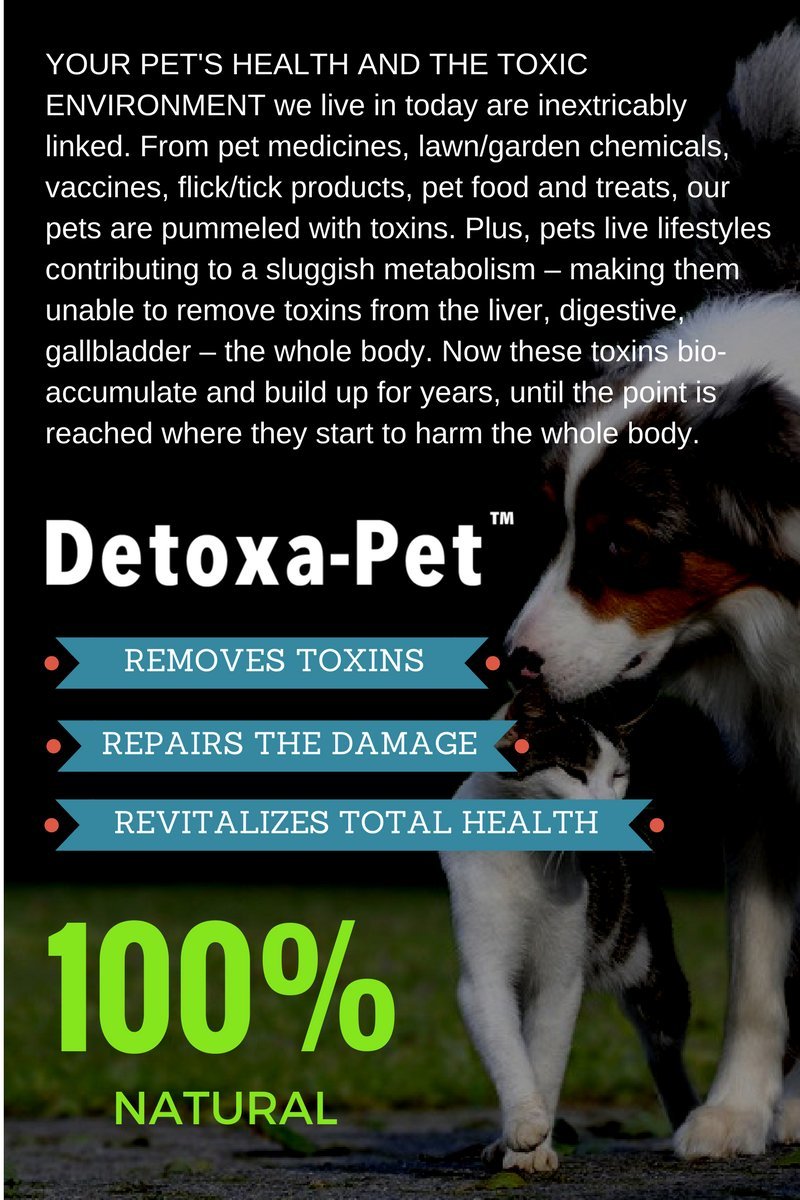 DETOXA-PET Powder, Powerful Nutritional Supplement for Pets, Works Wonders! Dog & Cat Detox, Liver Detox for Dogs, Cats,10 Bill CFU Probiotics, Enzymes, Herbs, Vitamins, Minerals, Immediate Benefits!