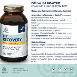 Purica Recovery Extra Strength Dog Supplement - Supports Hip and Joint Health for All Breeds - Contains Nutricol, Hyaluronic Acid, EGCG, Resveratrol - Aims to Enhance Canine Endurance and Flexibility