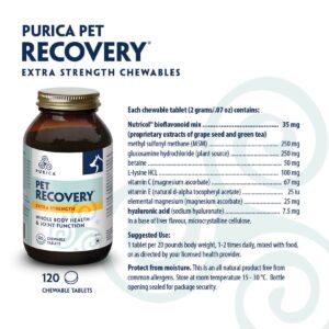 Purica Recovery Extra Strength Dog Supplement - Supports Hip and Joint Health for All Breeds - Contains Nutricol, Hyaluronic Acid, EGCG, Resveratrol - Aims to Enhance Canine Endurance and Flexibility