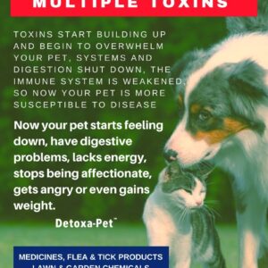 DETOXA-PET Powder, Powerful Nutritional Supplement for Pets, Works Wonders! Dog & Cat Detox, Liver Detox for Dogs, Cats,10 Bill CFU Probiotics, Enzymes, Herbs, Vitamins, Minerals, Immediate Benefits!