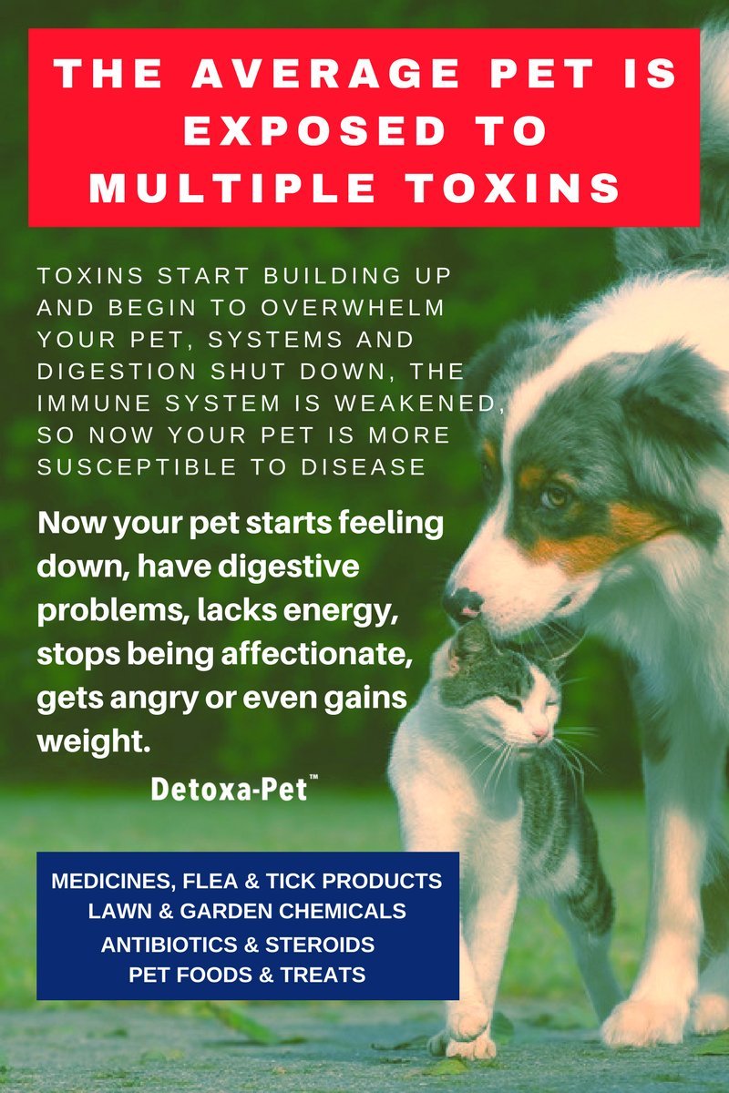 DETOXA-PET Powder, Powerful Nutritional Supplement for Pets, Works Wonders! Dog & Cat Detox, Liver Detox for Dogs, Cats,10 Bill CFU Probiotics, Enzymes, Herbs, Vitamins, Minerals, Immediate Benefits!