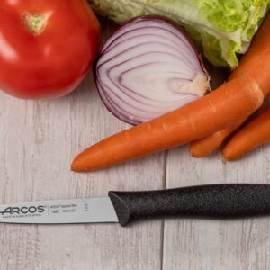 ARCOS Paring Knife 3 Inch Stainless Steel. Professional Kitchen Knife for Cut, Peel and Clean Food. Ergonomic Polyoxymethylene Handle and 85mm Blade. Series Nova. Color Black