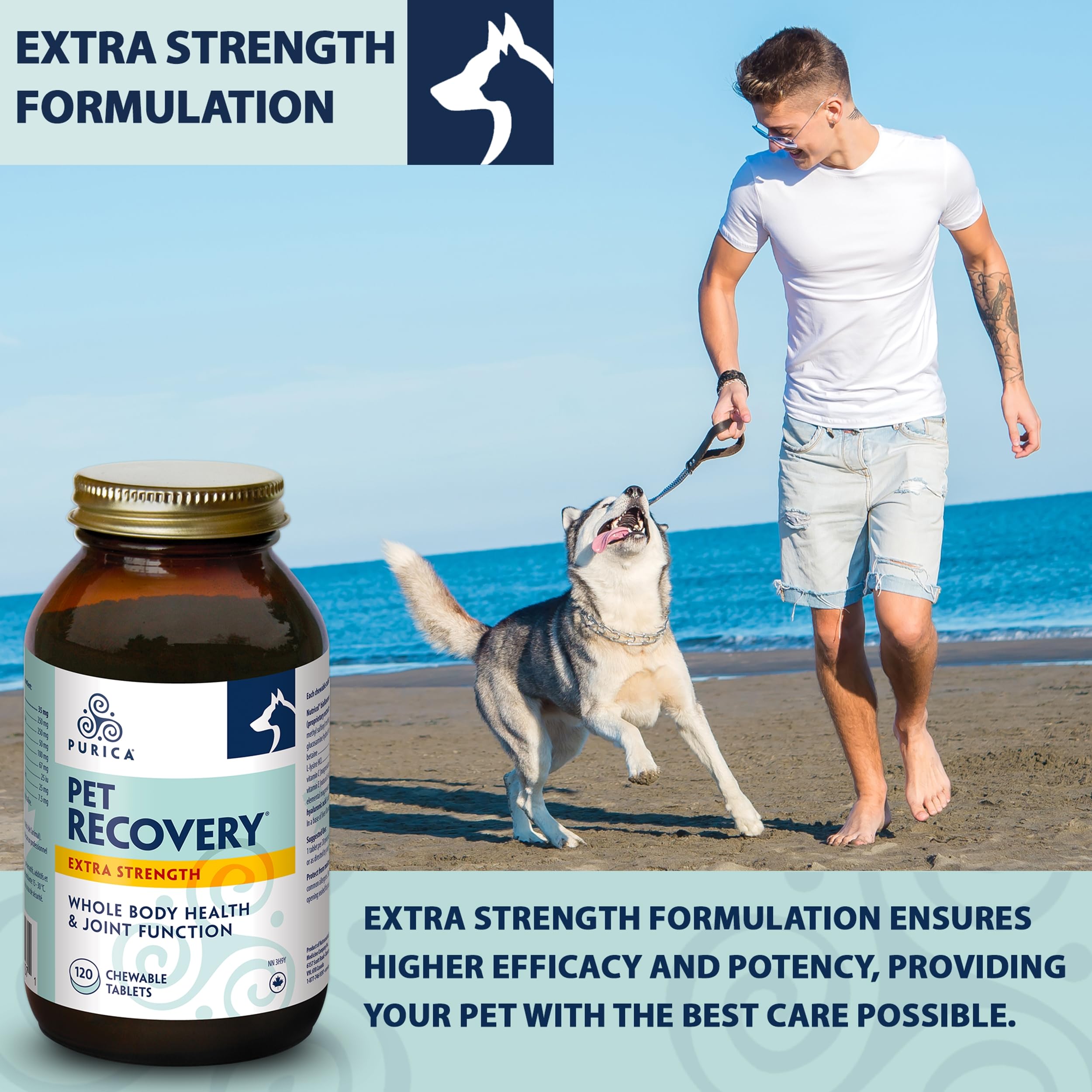 Purica Recovery Extra Strength Dog Supplement - Supports Hip and Joint Health for All Breeds - Contains Nutricol, Hyaluronic Acid, EGCG, Resveratrol - Aims to Enhance Canine Endurance and Flexibility