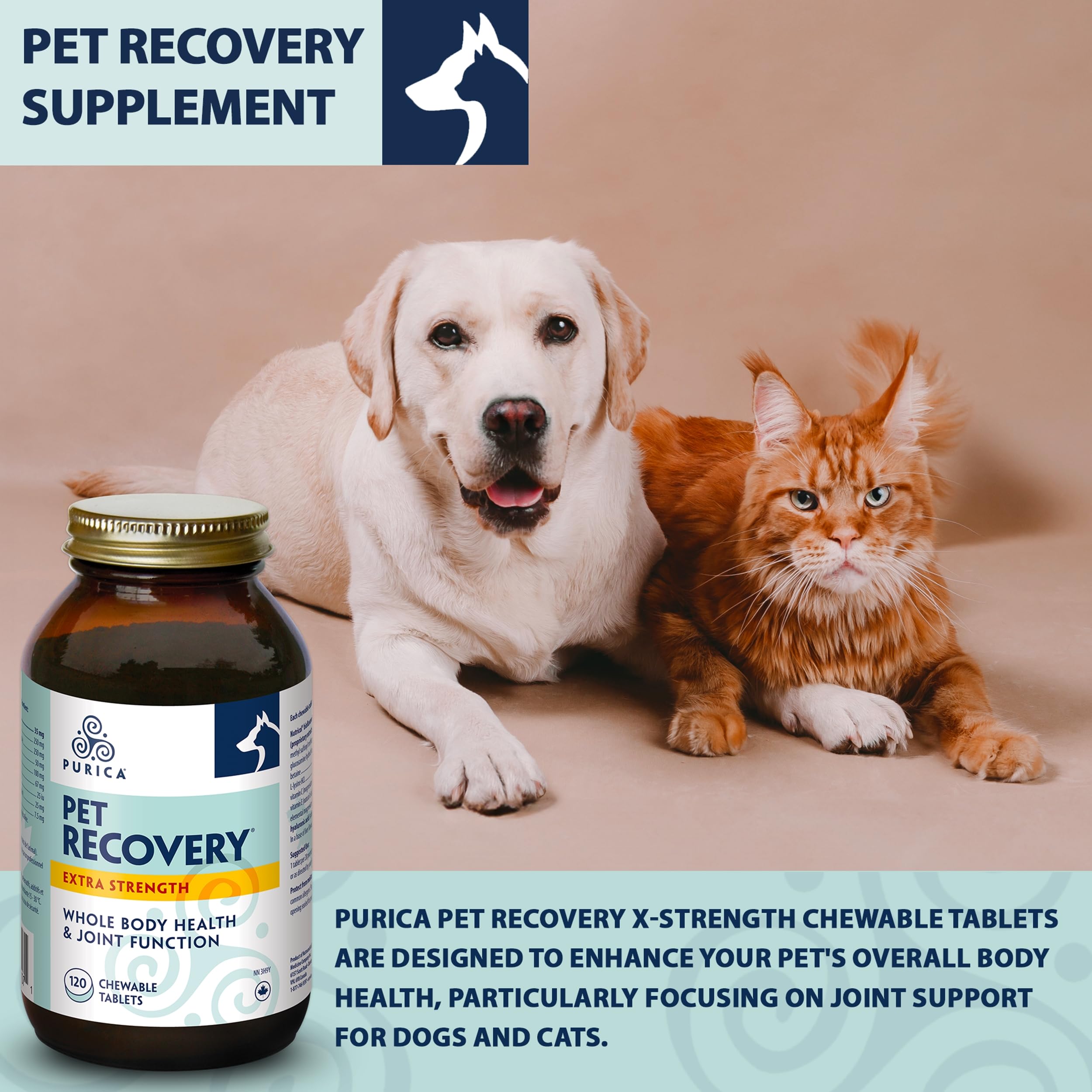 Purica Recovery Extra Strength Dog Supplement - Supports Hip and Joint Health for All Breeds - Contains Nutricol, Hyaluronic Acid, EGCG, Resveratrol - Aims to Enhance Canine Endurance and Flexibility