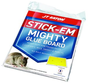 jt eaton stick em 157 city rat and snake glue traps, indoor home glue trap, 1 pack