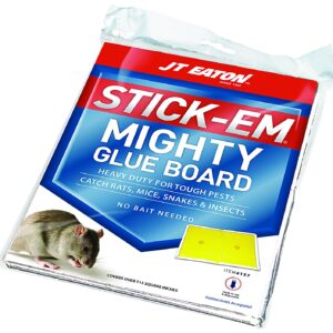 JT Eaton Stick Em 157 City Rat and Snake Glue Traps, Indoor Home Glue Trap, 1 Pack