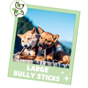 Nature Gnaws Large Bully Sticks for Dogs 11-12" (5 Count) - Thick Long Lasting for Aggressive Chewers and Large Dogs - Natural Beef Dog Chew Bones