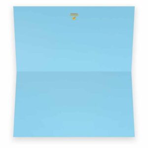 Light Blue Place Cards - FLAT or TENT Style - 10 or 50 PACK - White Blank Front Solid Color Border Placement Table Name Dinner Seat Stationery Party Supplies Occasion Event Holiday (10, TENT STYLE)