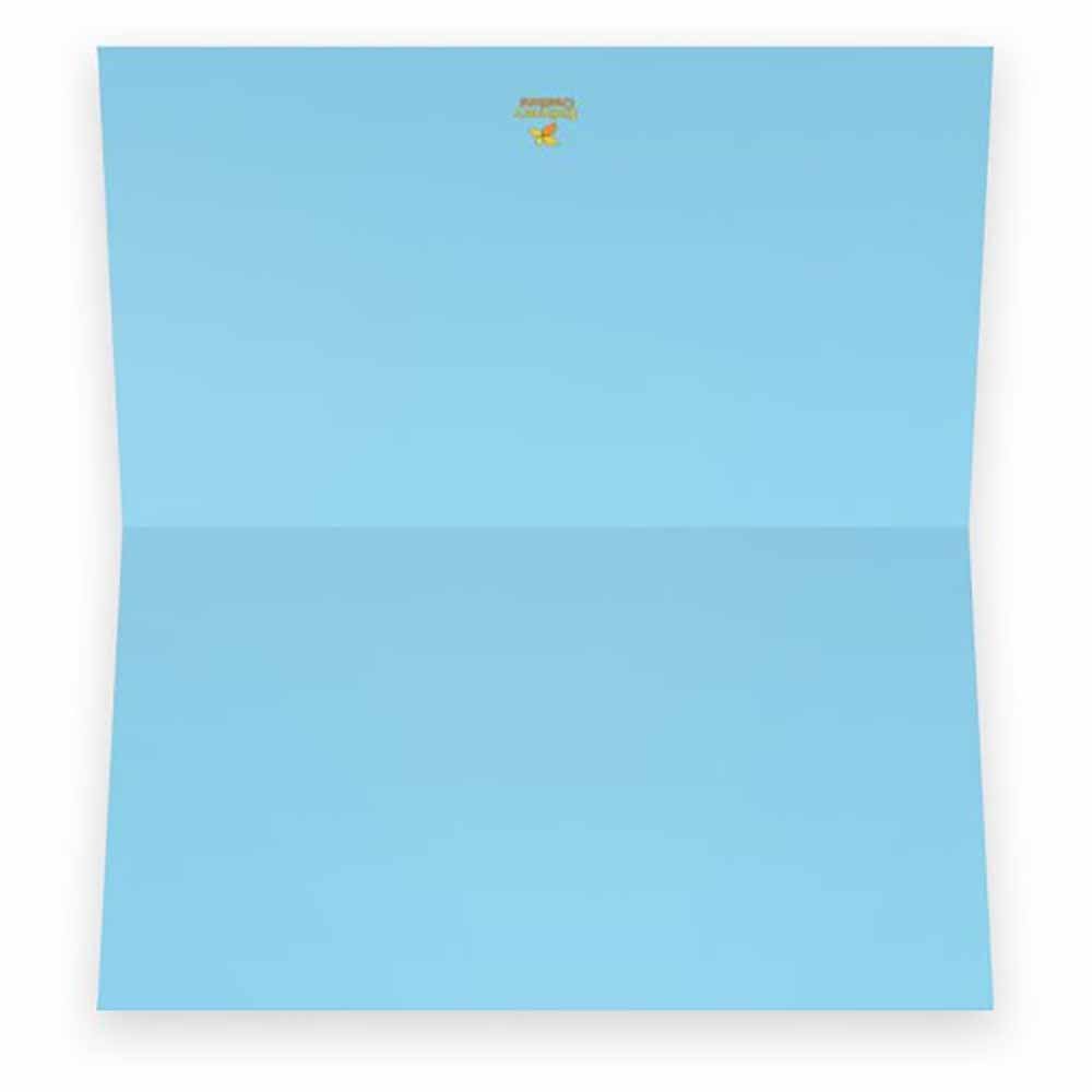 Light Blue Place Cards - FLAT or TENT Style - 10 or 50 PACK - White Blank Front Solid Color Border Placement Table Name Dinner Seat Stationery Party Supplies Occasion Event Holiday (10, TENT STYLE)