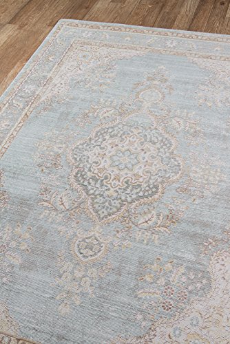 Momeni Rugs Isabella Traditional Medallion Flat Weave Area Rug, 9'3" X 11'10", Blue