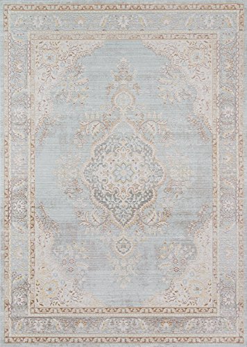 Momeni Rugs Isabella Traditional Medallion Flat Weave Area Rug, 9'3" X 11'10", Blue