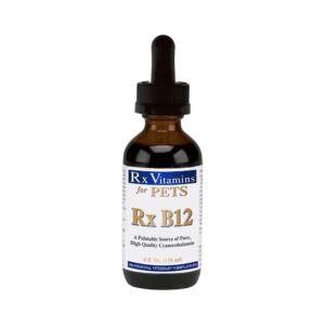 rx vitamins rx b12 for dogs & cats - vitamin b12 liquid supplement for pets - dog vitamins for small & large breed - cat health supplies - 4 oz.