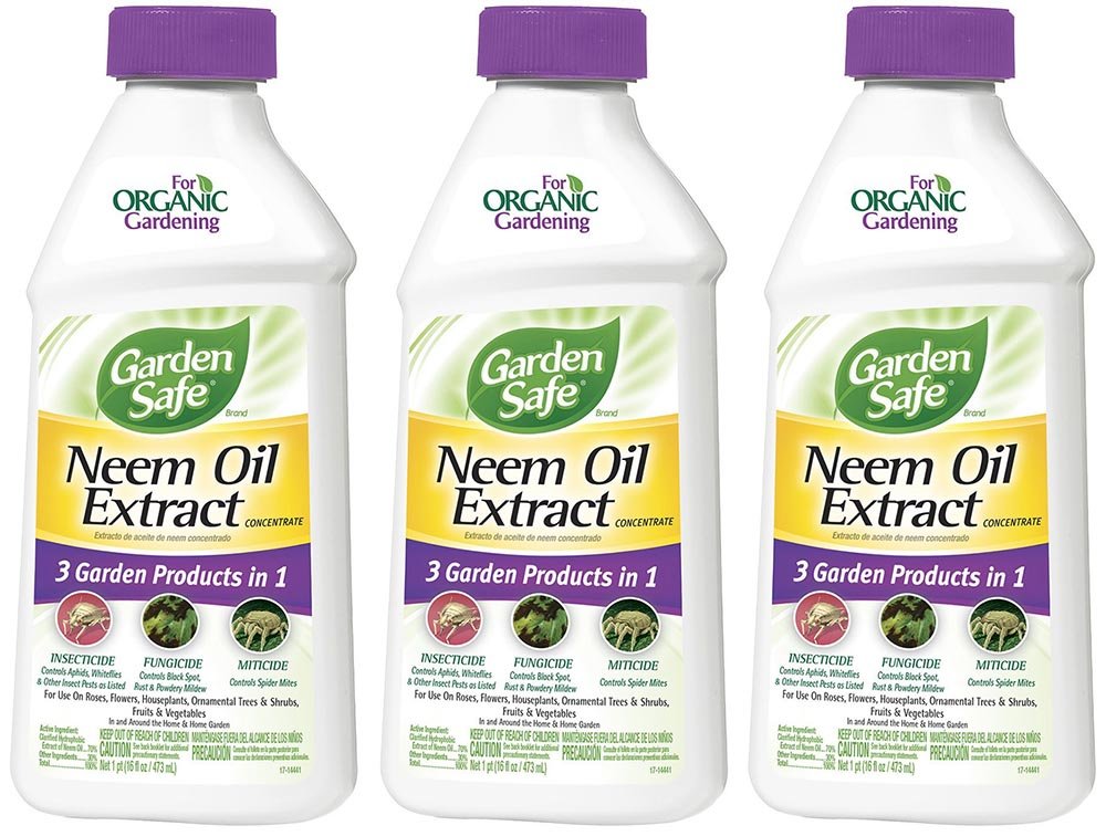 Garden Safe Neem Oil wTpzH Extract Concentrate, 16 fl oz (3 Pack)