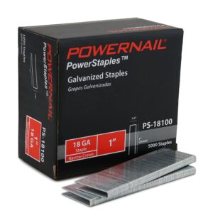 Powernail PS18100 18 Gauge 1/4 Inch Crown 1 Inch Length Chisel Point Narrow Crown Staple (Box of 5000)