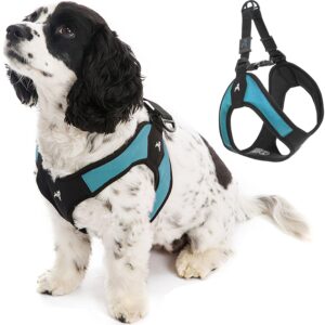 gooby turquoise x-small easy fit harness - no pull patented design for small dogs with quick release buckle