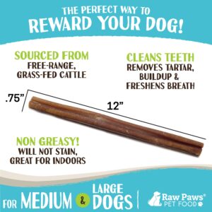 Raw Paws Jumbo Bully Sticks for Dogs, 12" (5 Pack) - Extra Large Bully Sticks for Dogs - Cows No Added Hormones, Pizzle Sticks for Dogs, Long Lasting Bully Bones for Aggressive Chewers