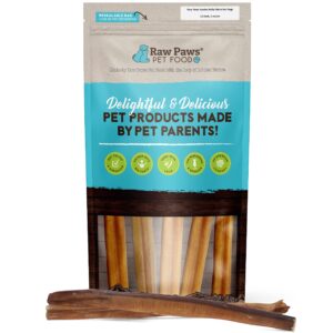 raw paws jumbo bully sticks for dogs, 12" (5 pack) - extra large bully sticks for dogs - cows no added hormones, pizzle sticks for dogs, long lasting bully bones for aggressive chewers