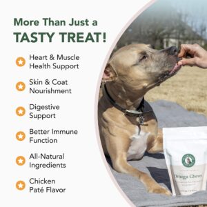 Veterinary Naturals Hemp Oil & Salmon Oil Chews for Dogs - Support HIPS & Joint - Best Source of Omega 3 - Fish Oil for Dog’s Shiny Coat & Itch Free Skin - 60 Soft Chew Dog Joint Supplements