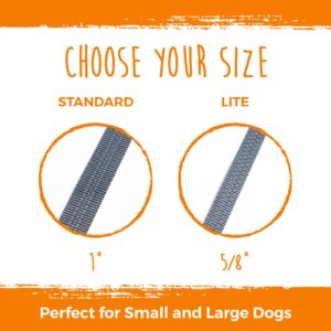 Mighty Paw Dual Dog Leash - Suitable for Two Dogs - Leash for 2 Dogs No Tangle - Leash Splitter - Large and Small Dog Compatible - Dual Leash Attachment - Double Clip Dog Leash Coupler - Dog Splitter