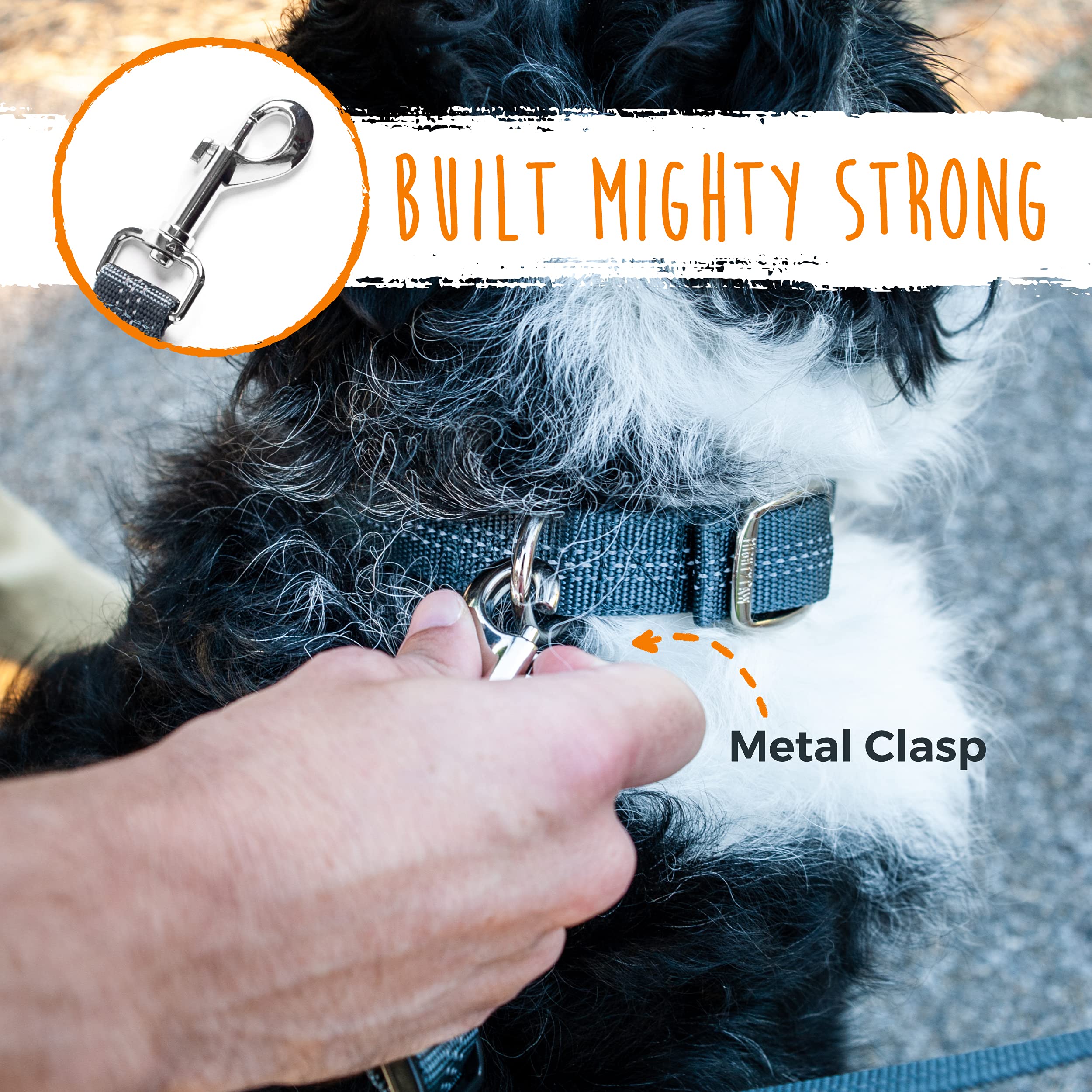 Mighty Paw Dual Dog Leash - Suitable for Two Dogs - Leash for 2 Dogs No Tangle - Leash Splitter - Large and Small Dog Compatible - Dual Leash Attachment - Double Clip Dog Leash Coupler - Dog Splitter