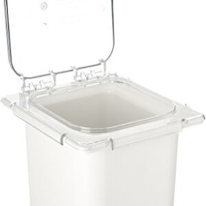 Carlisle FoodService Products CM10319Z07 Cold master EZ Access Lid with Notch, Sixth Size, Clear (Pack of 2)