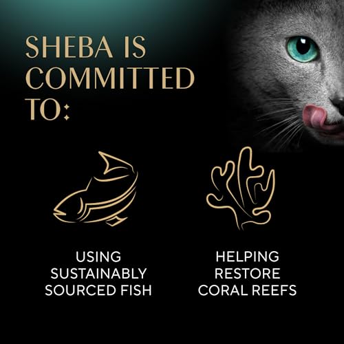 Sheba Perfect Portions Wet Cat Food Cuts in Gravy With Sustainable Salmon, 2.6 oz., Twin-Pack Trays (24 Count, 48 Servings)