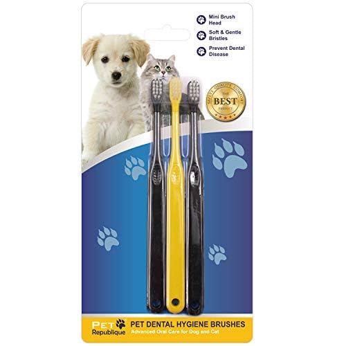 Pet Republique Small Toothbrush for Dogs Cats - Cat Toothbrush, Small Dog Toothbrush - Designed for Cat, Kitten, Puppy, and Small Dog Like Chihuahuas, Yorkshire, and Poodle (6 Count)