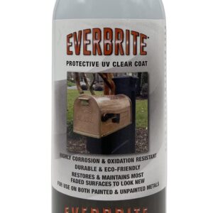 Everbrite 12 Oz. Aerosol Clear, Protective Coating for Metal