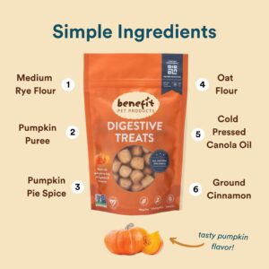 Benefit Biscuits, All Natural Dog Treats, Certified Vegan, Non GMO, Wheat Free, Healthy Dog Biscuits, Made in USA (Pumpkin, Regular Bag, 7oz)