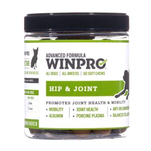 winpro | dog hip and joint supplement, plasma-powered chews for joint support in dogs of all breeds and sizes, fast acting with collagen, 60 count, made in usa