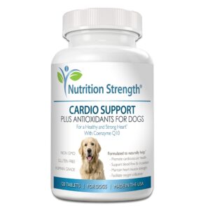 nutrition strength cardio support for dogs plus antioxidant, l-carnitine, l-taurine, with coenzyme q10 and vitamin e, promotes a healthy and strong dog heart, 120 chewable tablets