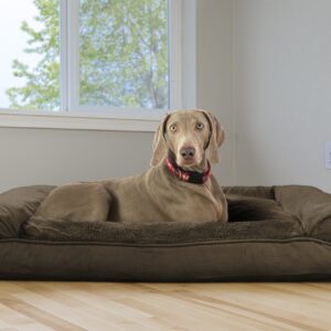 Furhaven Pillow Dog Bed for Large Dogs w/ Removable Bolsters & Washable Cover - Plush & Suede Sofa - Espresso, Jumbo/XL