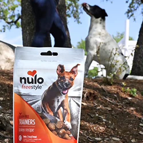 Nulo Freestyle Grain-Free Healthy Dog and Puppy Training Treats, Low Calorie Treats Made with Superfood Boost Ingredients, 2 Calories per Treat , 4 Ounce (Pack of 1)