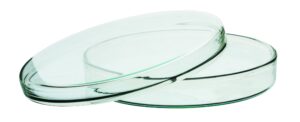 eisco petri dish, 5.9" (150mm) - beaded edges easy to sterilize for repeated use borosilicate glass- eisco labs