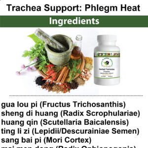 Trachea Soother Syrup Bundle with Trachea Support: Phlegm Heat - Natural Herbal Remedy for Symptoms of Collapsed Trachea for Dogs - Combo of (1 Bottle) 5 fl oz Syrup & (1 Bottle) 100 Grams Powder…